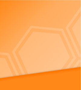 Nervigenol | ACTIVÁ TU CEREBRO